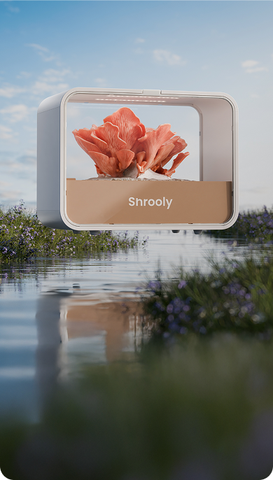 Shrooly: grow mushrooms you can't find anywhere
