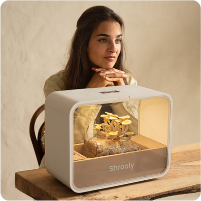 Shrooly: grow mushrooms you can't find anywhere