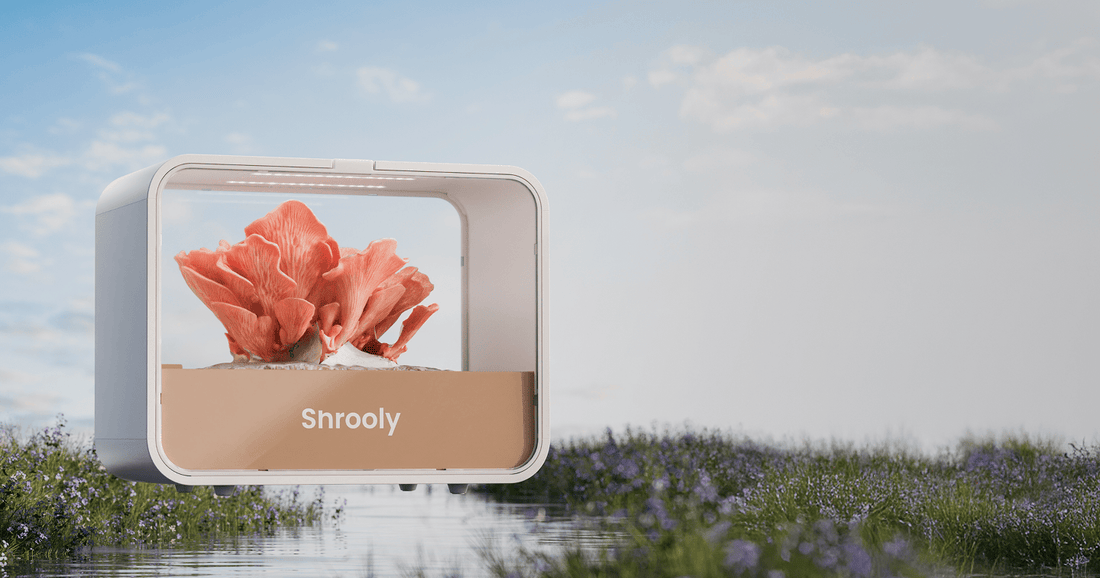 Shrooly: grow mushrooms you can't find anywhere