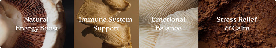 Shrooly: grow mushrooms you can't find anywhere