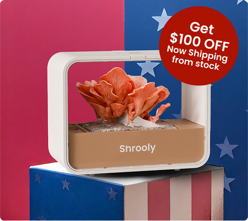 Shrooly: grow mushrooms you can't find anywhere