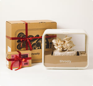 Shrooly: grow mushrooms you can't find anywhere