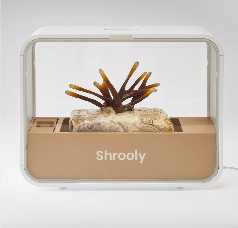Shrooly