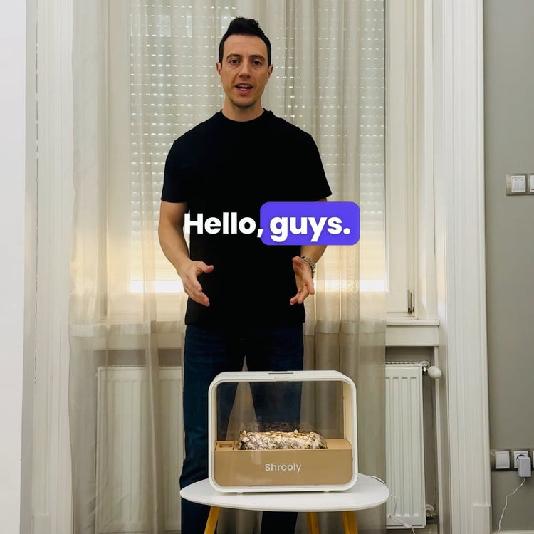 Shrooly: grow mushrooms you can't find anywhere