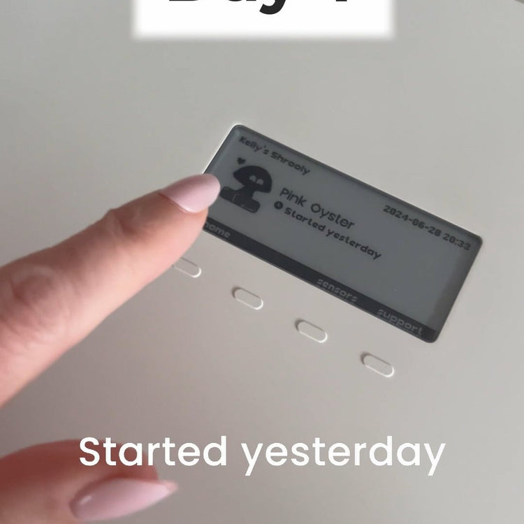 Shrooly: grow mushrooms you can't find anywhere